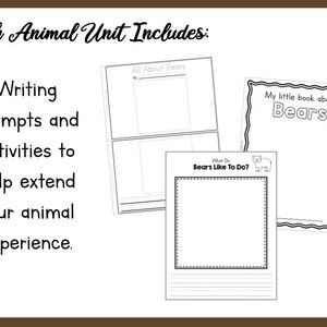 All About Bears- Animal Science Unit - Etsy