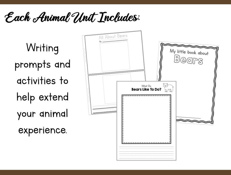 All About Bears Animal Science Unit - Etsy