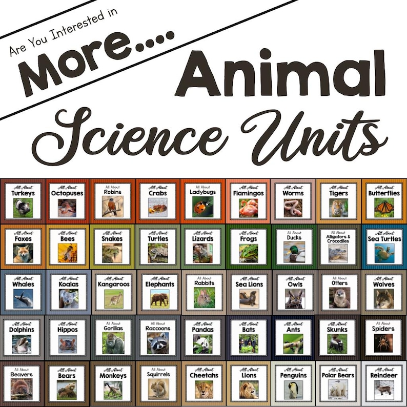 Alligators & Crocodiles Science Unit Animal Adaptation Worksheets ...