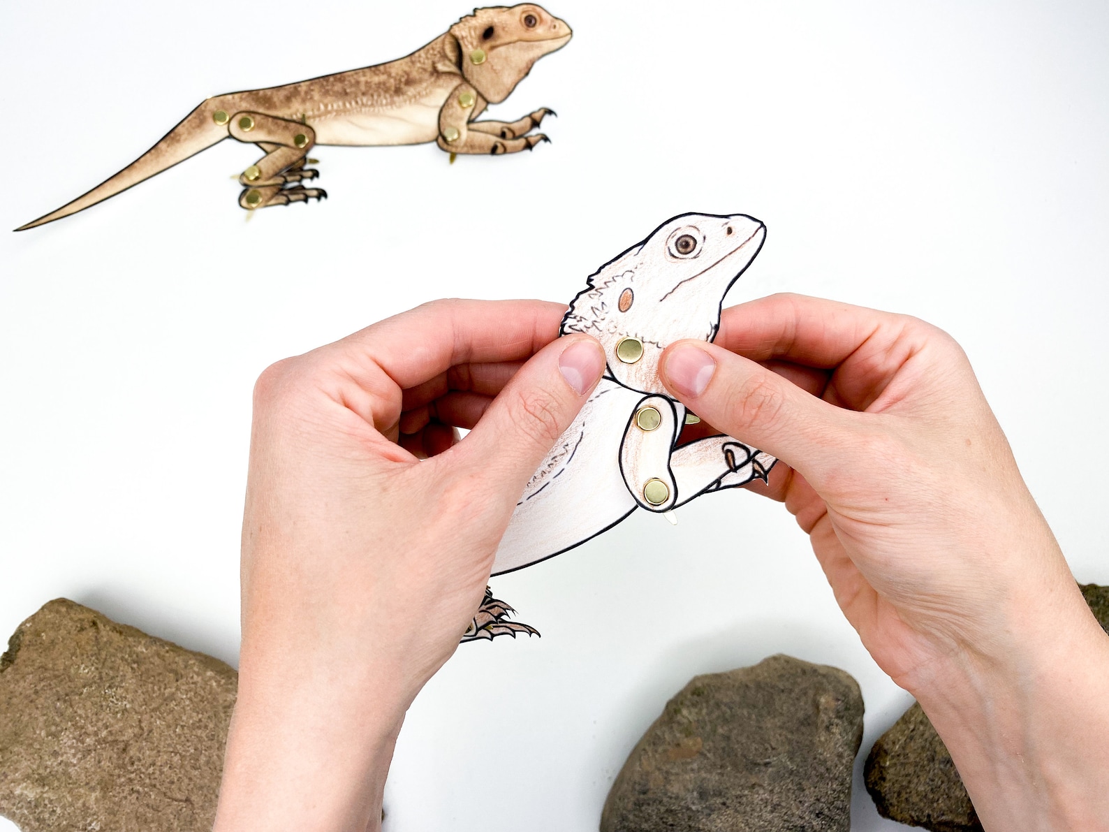 Printable Articulated LIZARD Puppet Craft Kit | DIY Movable Reptile PDF ...