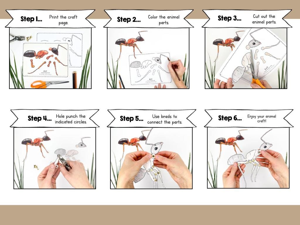 Articulated Ant Craft Kit Printable Jointed Ants Template for Creative ...