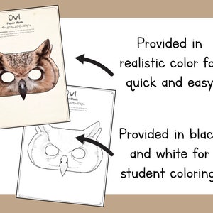 Printable Owl Face Mask Template | Artistic Animal Paper Craft for DIY ...