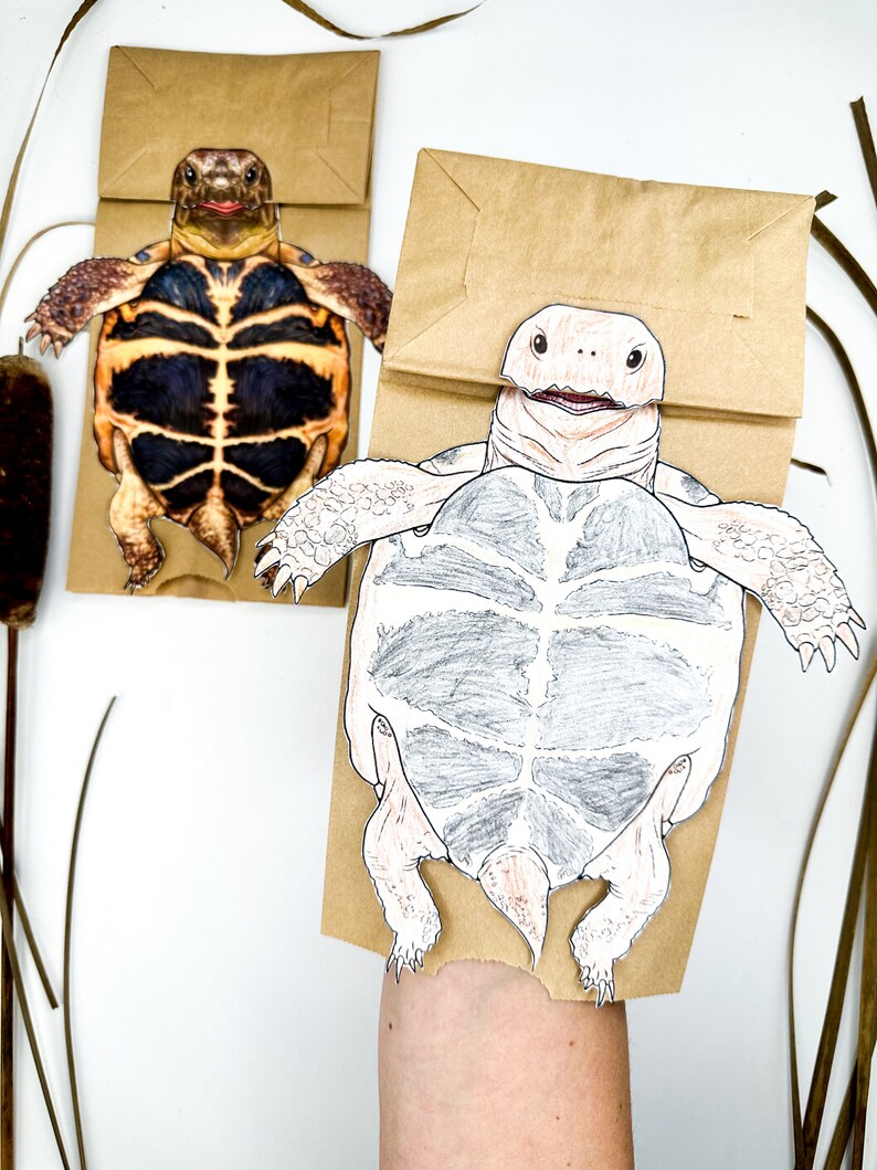 Printable Turtle Puppet Craft Sea Turtle Paper Craft Template Beach ...