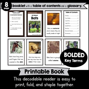 Bats Non Fiction Comprehension for Kids, Decodable Reading Passages ...