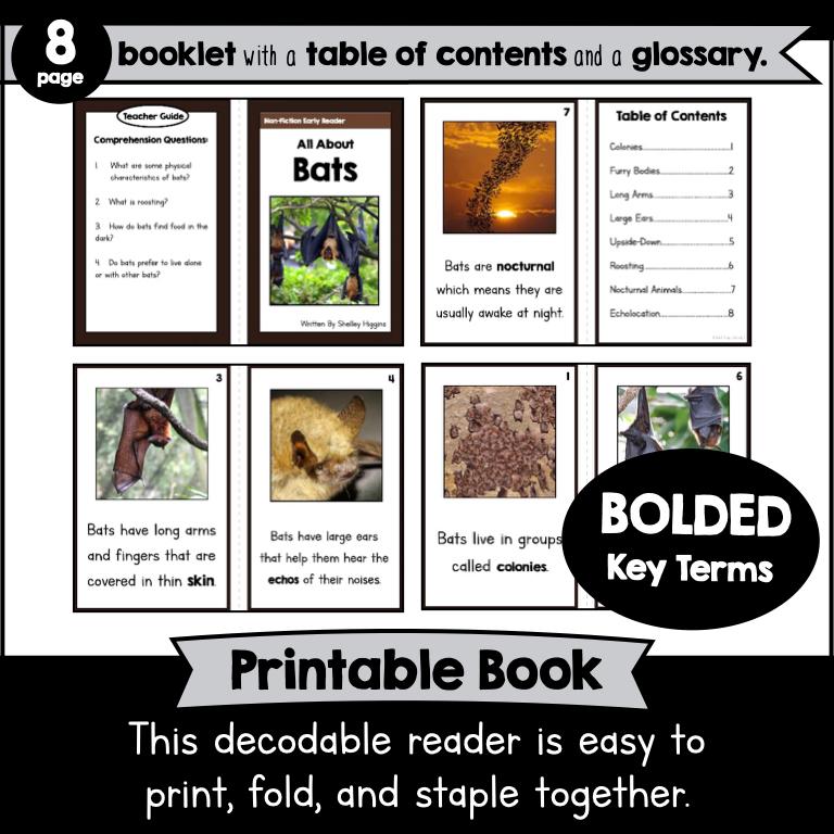 Printable Bats NONFICTION Early Reader PDF | DIY Animal Book With Real ...
