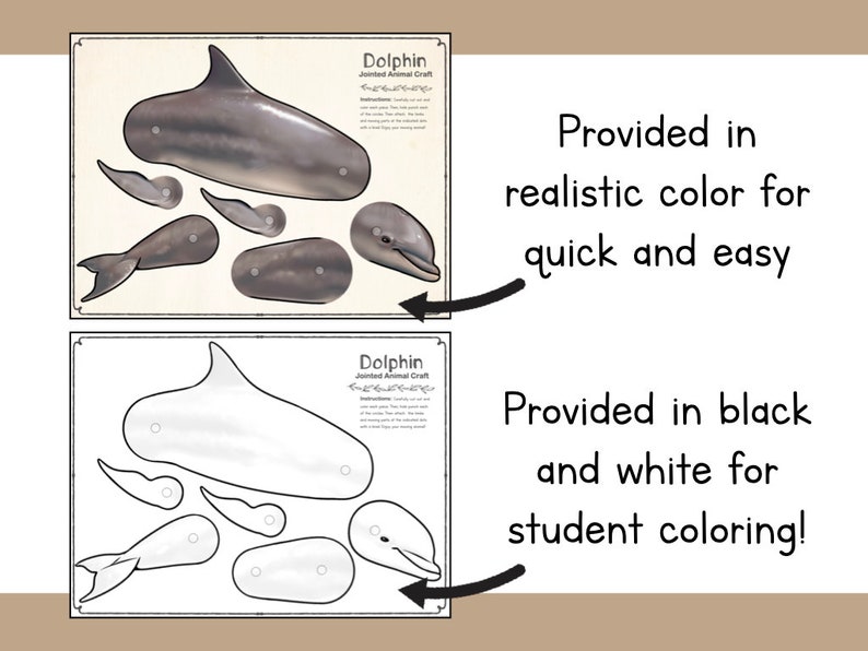 Articulated Dolphin Craft Template | Jointed Printable Movable Marine ...
