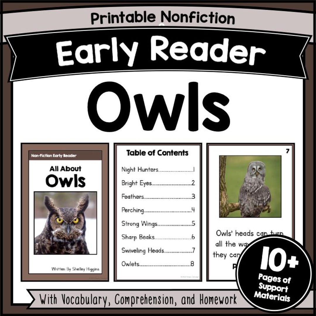 OWLS Fluency in Reading Comprehension Worksheets Kindergarten 1st-2nd ...