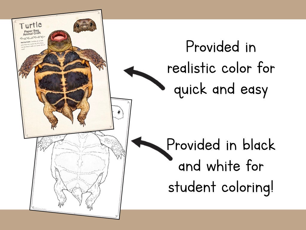 Turtle Paper Bag Puppet Printable Craft Template Turtles - Etsy