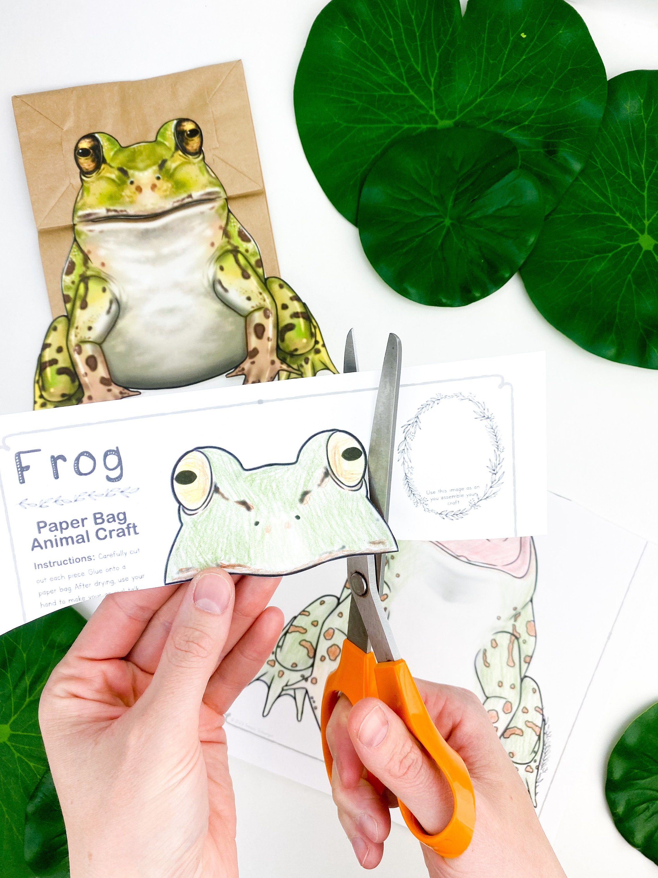 Frog Paper Bag Puppet Craft Kit | Eco-friendly Printable Template ...