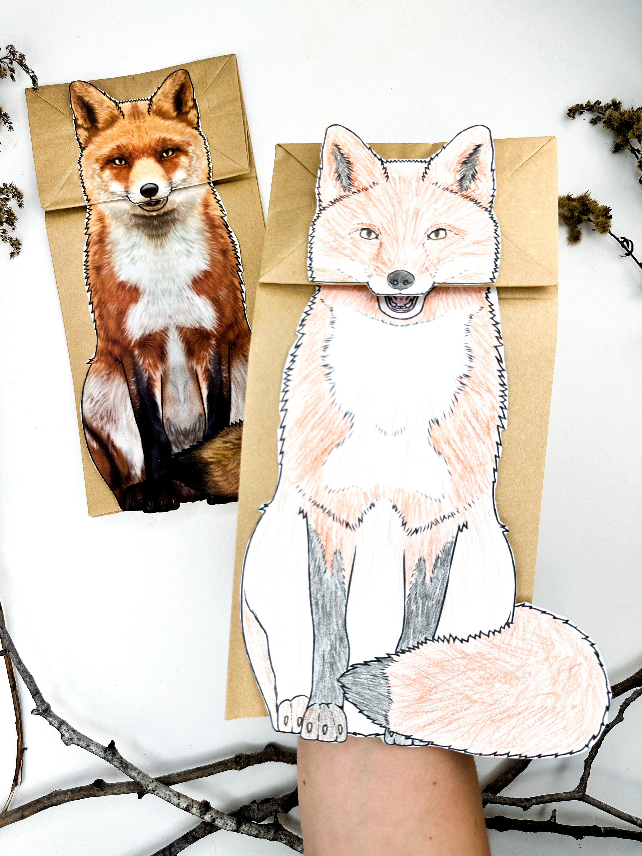 Fox Paper Bag Puppet | Instant Download Craft Template | Fox Themed ...