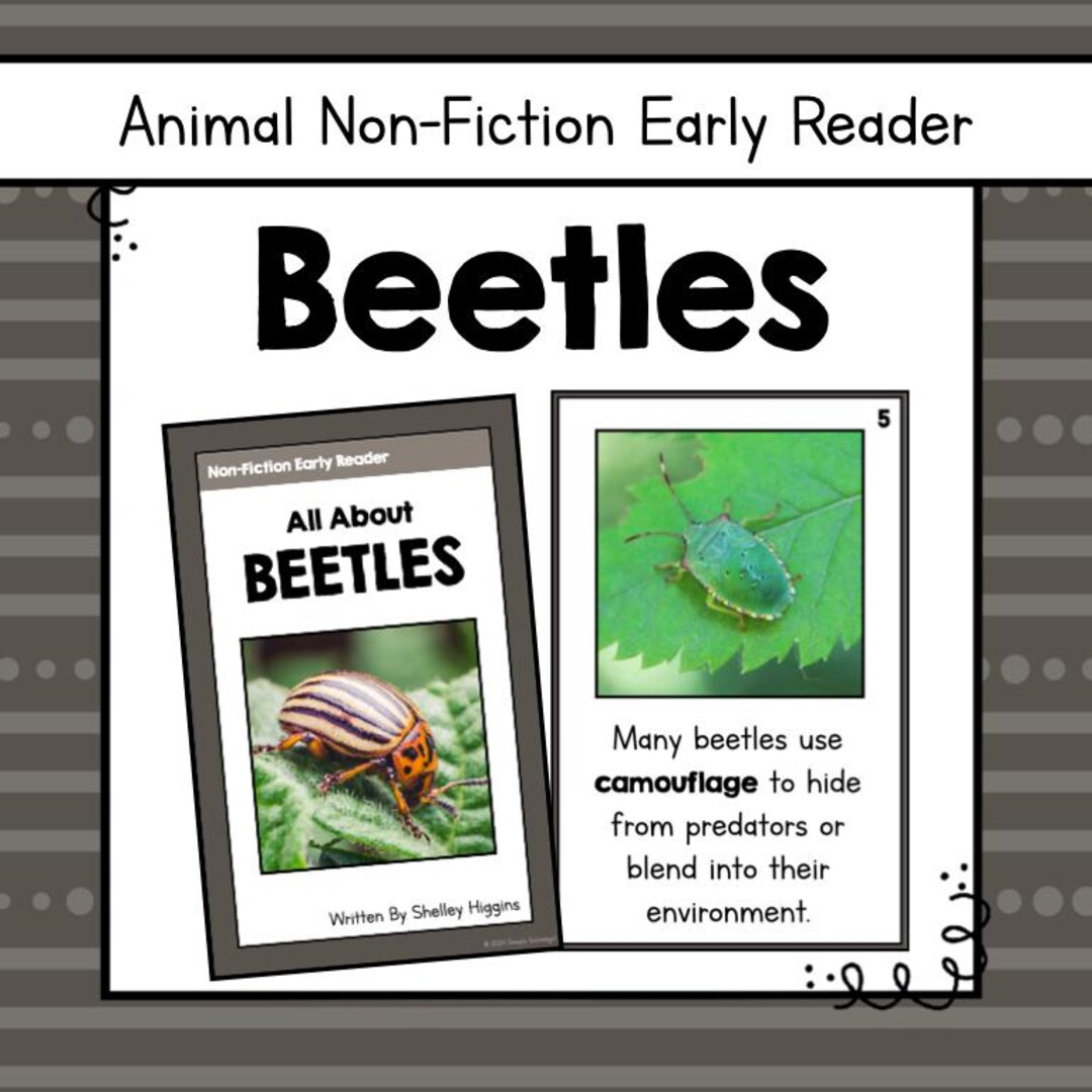 Beetles Nonfiction Early Reader | Printable Insect Book With Real ...
