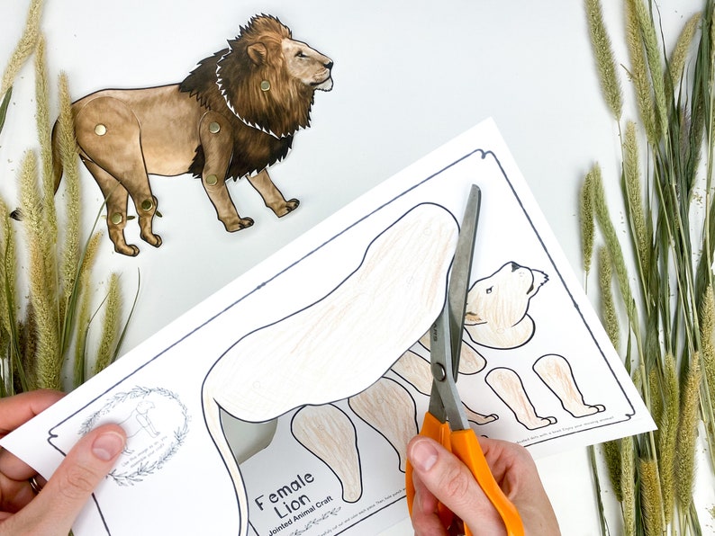 Printable Jointed Lion Template | Articulated Lion Craft Kit | DIY Lion ...