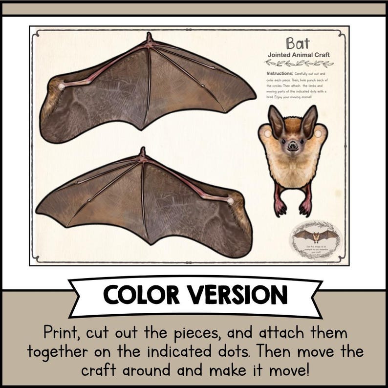 Printable Jointed BAT Puppet Craft Template Kit | DIY Articulated ...