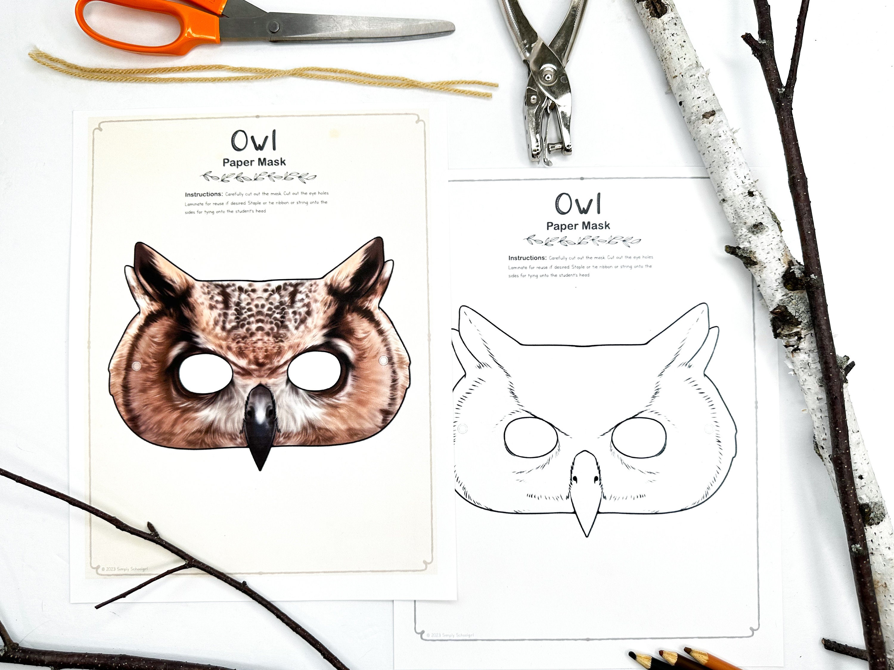 Printable Owl Face Mask Template | Artistic Animal Paper Craft for DIY ...