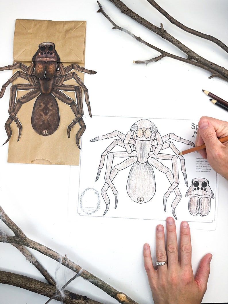 DIY SPIDER Paper Bag Puppet PDF | Printable Kids Craft Template | Fun ...