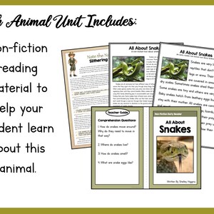 All About Snakes- Animal Science Unit - Etsy