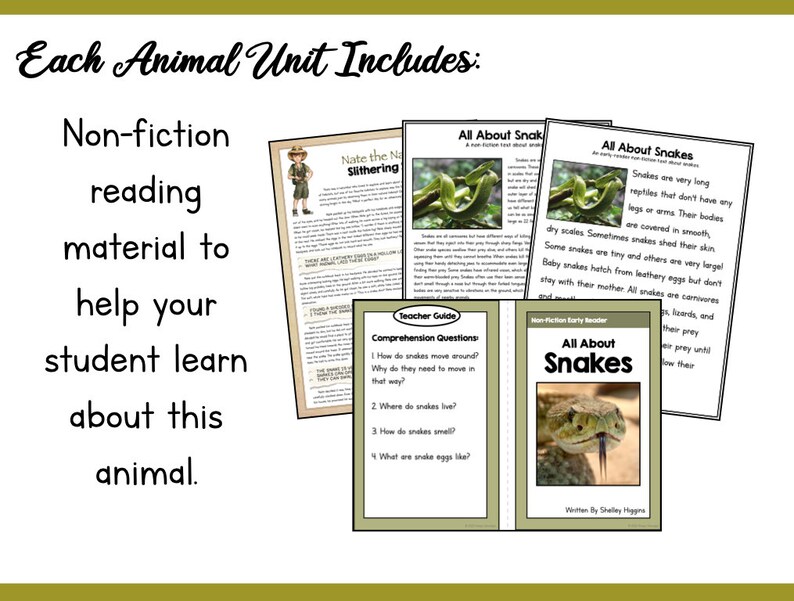All About Snakes- Animal Science Unit - Etsy