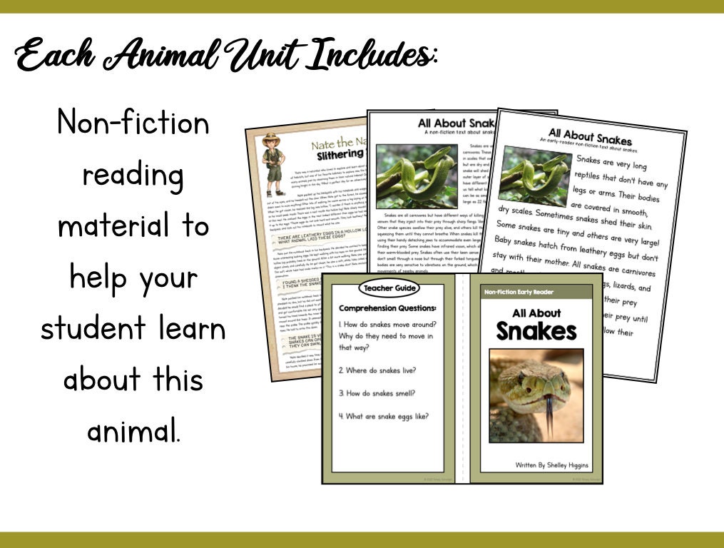 All About Snakes- Animal Science Unit - Etsy