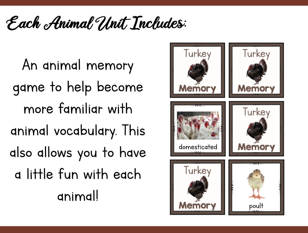 All About Turkeys Animal Science Unit - Etsy