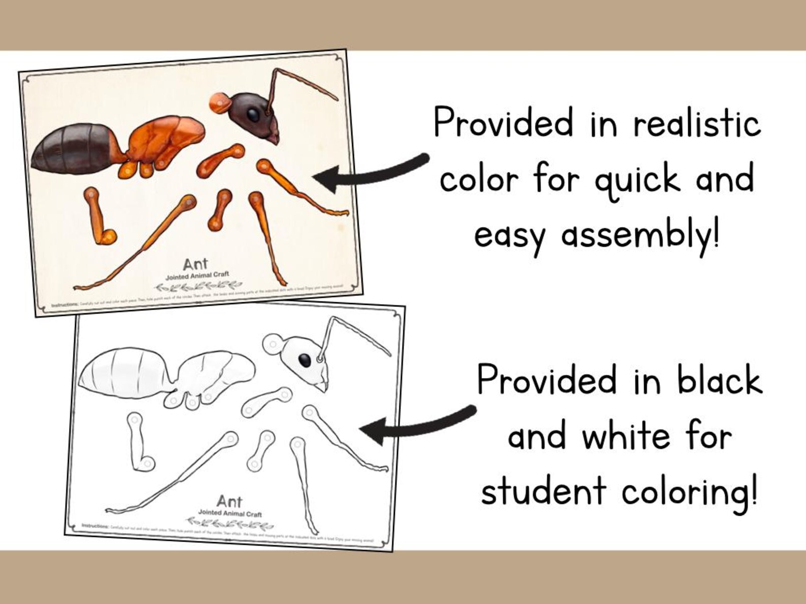 Articulated Ant Craft Kit | Printable Jointed Ants Template for ...