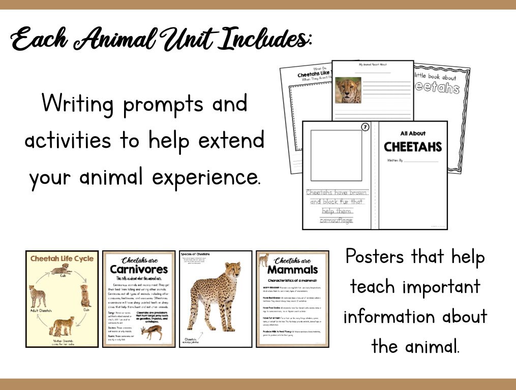 All About Cheetahs- Animal Science Unit - Etsy