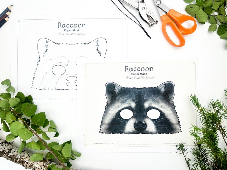 Printable DIY RACCOON Paper Craft Mask Template | PDF for Kids & Adults ...