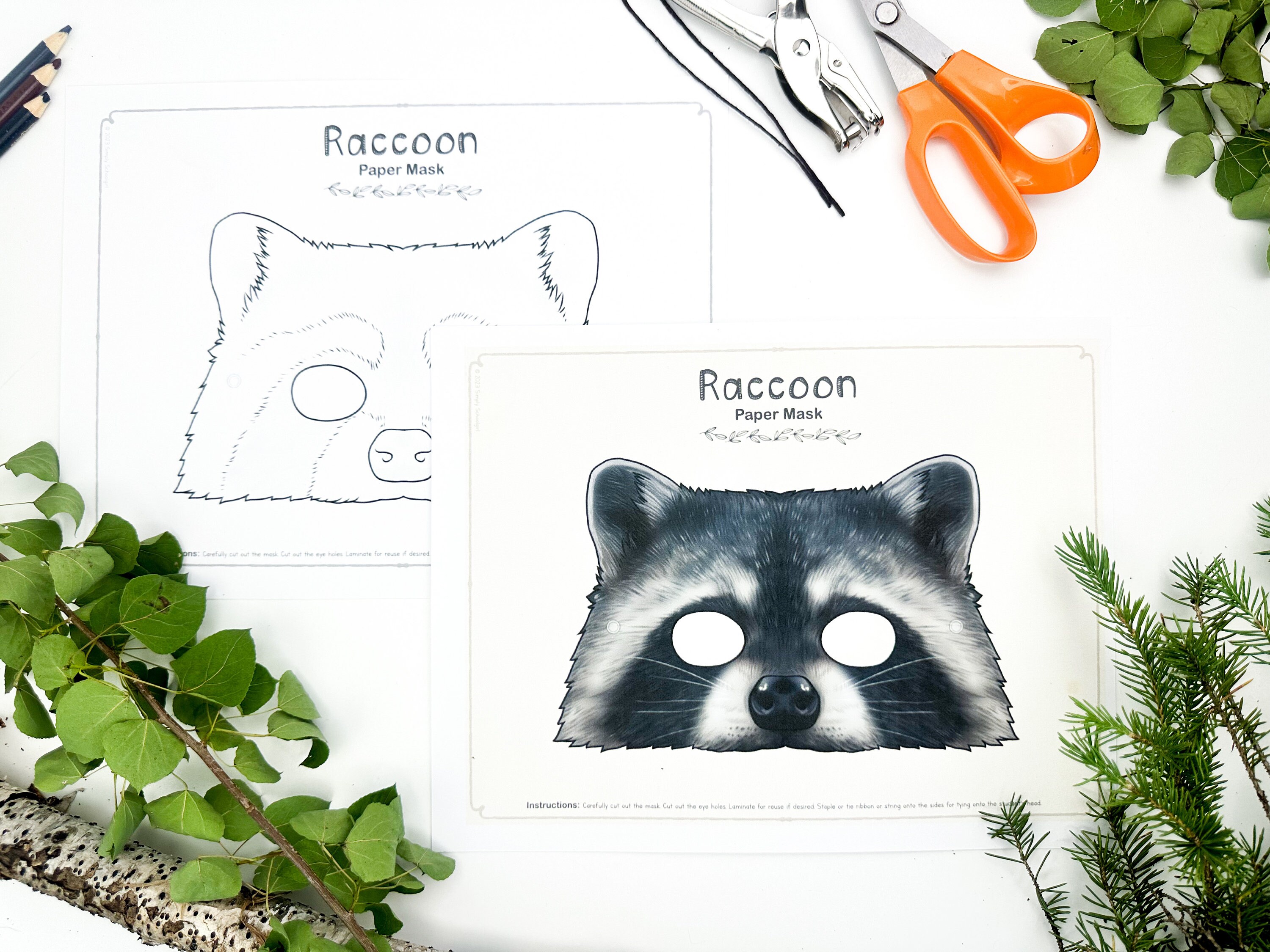 Raccoon Paper Mask Craft Kit | Printable Animal Mask | Fun Party Favor ...