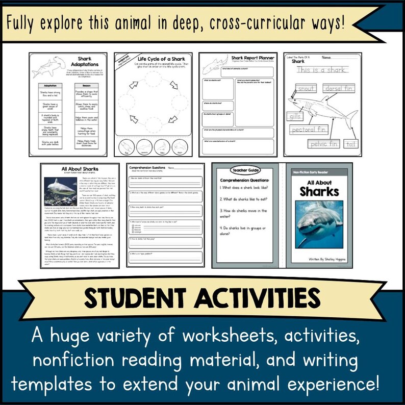 Printable SHARKS Science Unit Template Kit | DIY Articulated Animal PDF ...