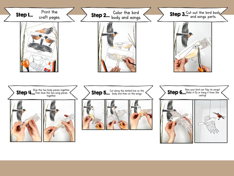 Robin 3D Paper Craft Kit | Hanging Bird Template | Nature Enthusiasts ...