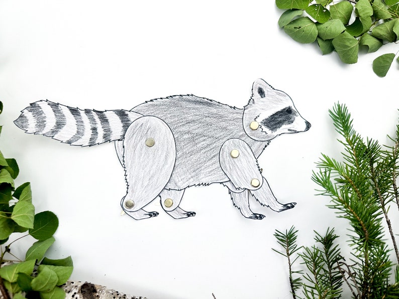 Printable JOINTED Raccoon Paper Puppet Craft Kit | DIY Articulated ...