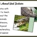 All About Alligators and Crocodiles- Animal Science Unit - Etsy