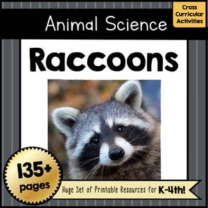 Printable RACCOON Animal Science Unit | DIY Learning PDF | Kids ...