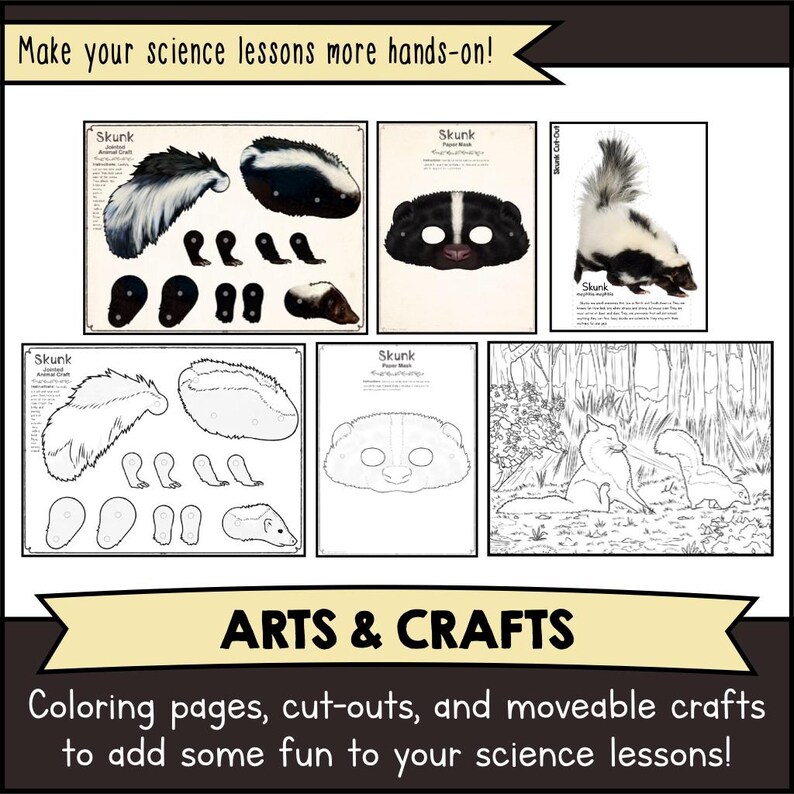 Skunk Unit Study Printable No Prep | Skunk Puppet Craft, Animal Science ...