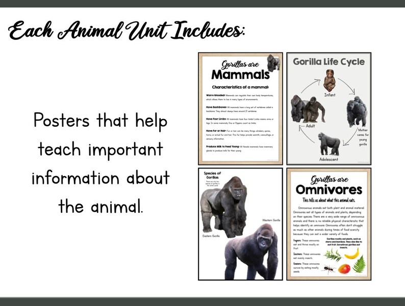 All About Gorillas- Animal Science Unit - Etsy