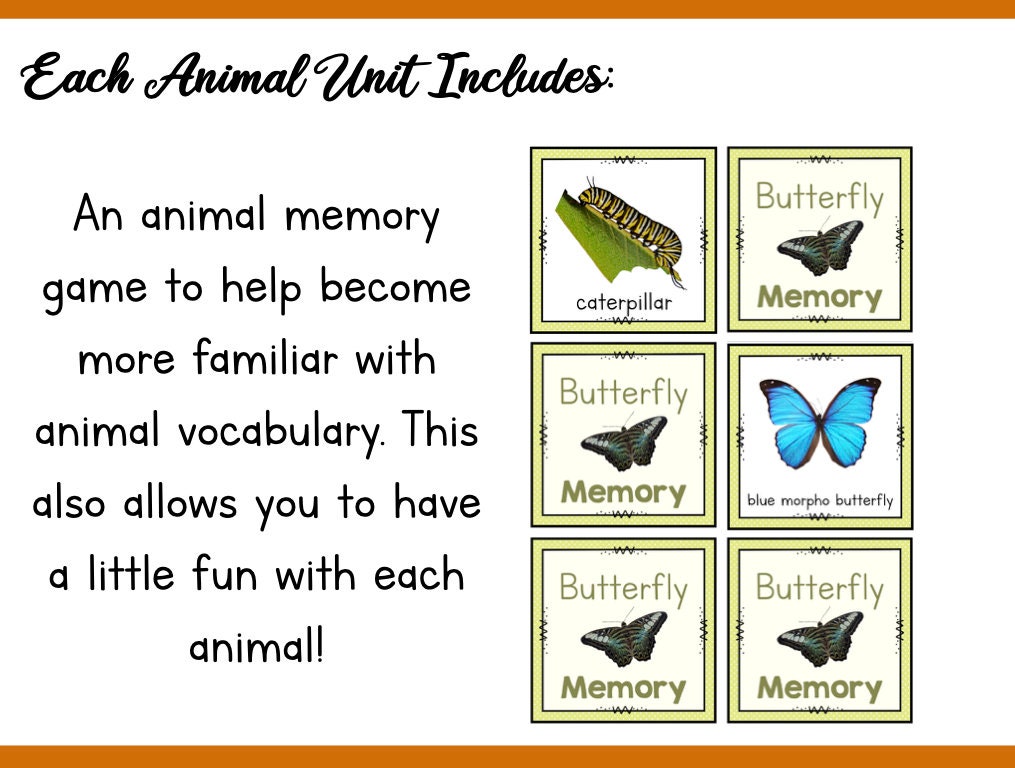 All About Butterflies- Animal Science Unit - Etsy