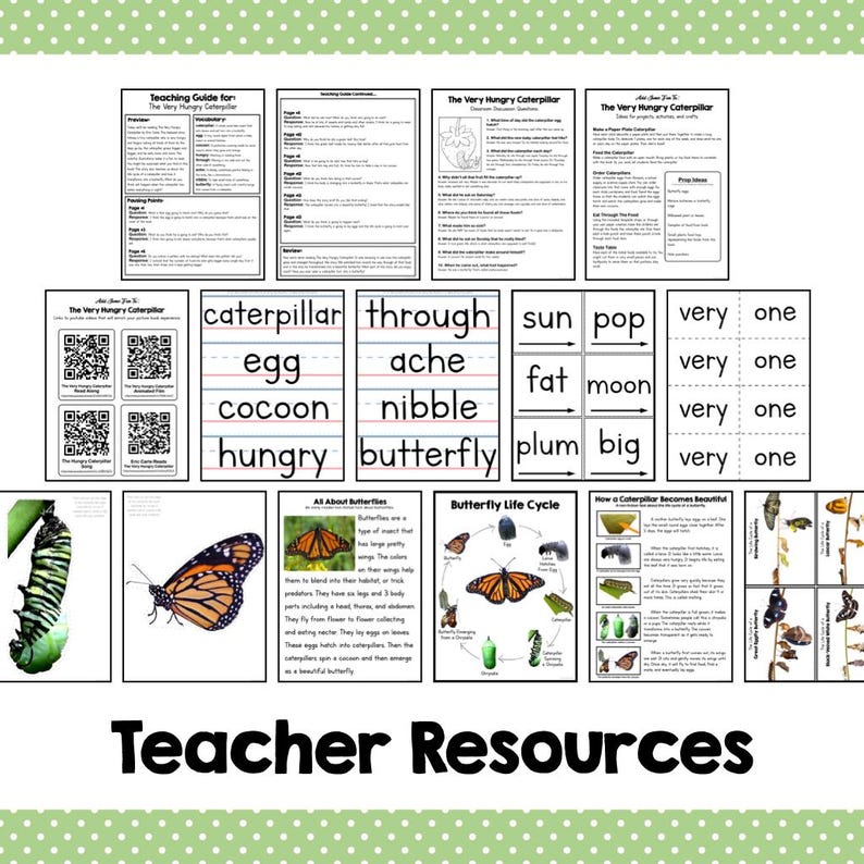The Very Hungry Caterpillar- Picture Book Study Companion - Etsy