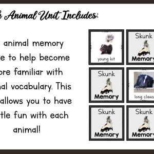All About Skunks- Animal Science Unit - Etsy