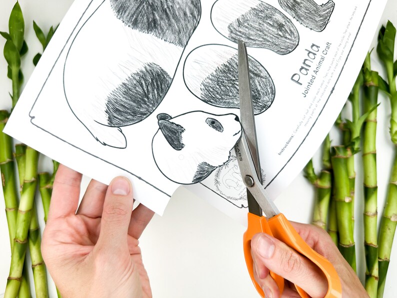 Printable PANDA Puppet Craft Template Kit | DIY Articulated Animal PDF ...
