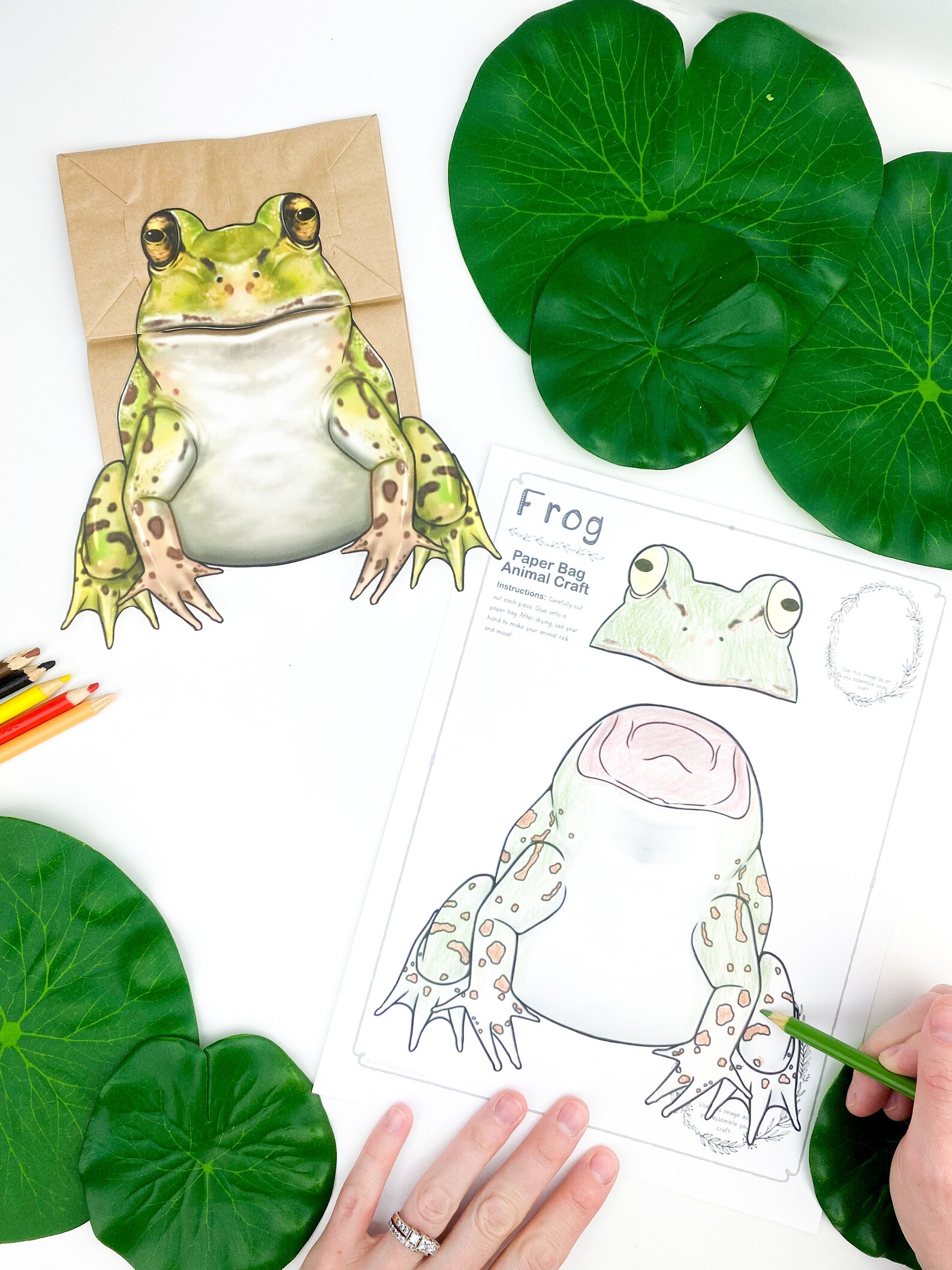 Frog Paper Bag Puppet Craft Kit | Eco-friendly Printable Template ...