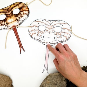 Snake Mask Craft Kit | Easy Print Animal Paper Template | Reptile ...