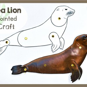 Printable Jointed Sea Lion Puppet Craft | Articulated Animal Template ...