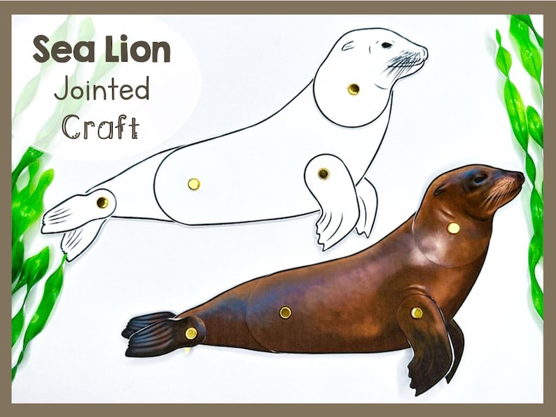 Printable Jointed Sea Lion Puppet Craft | Articulated Animal Template ...