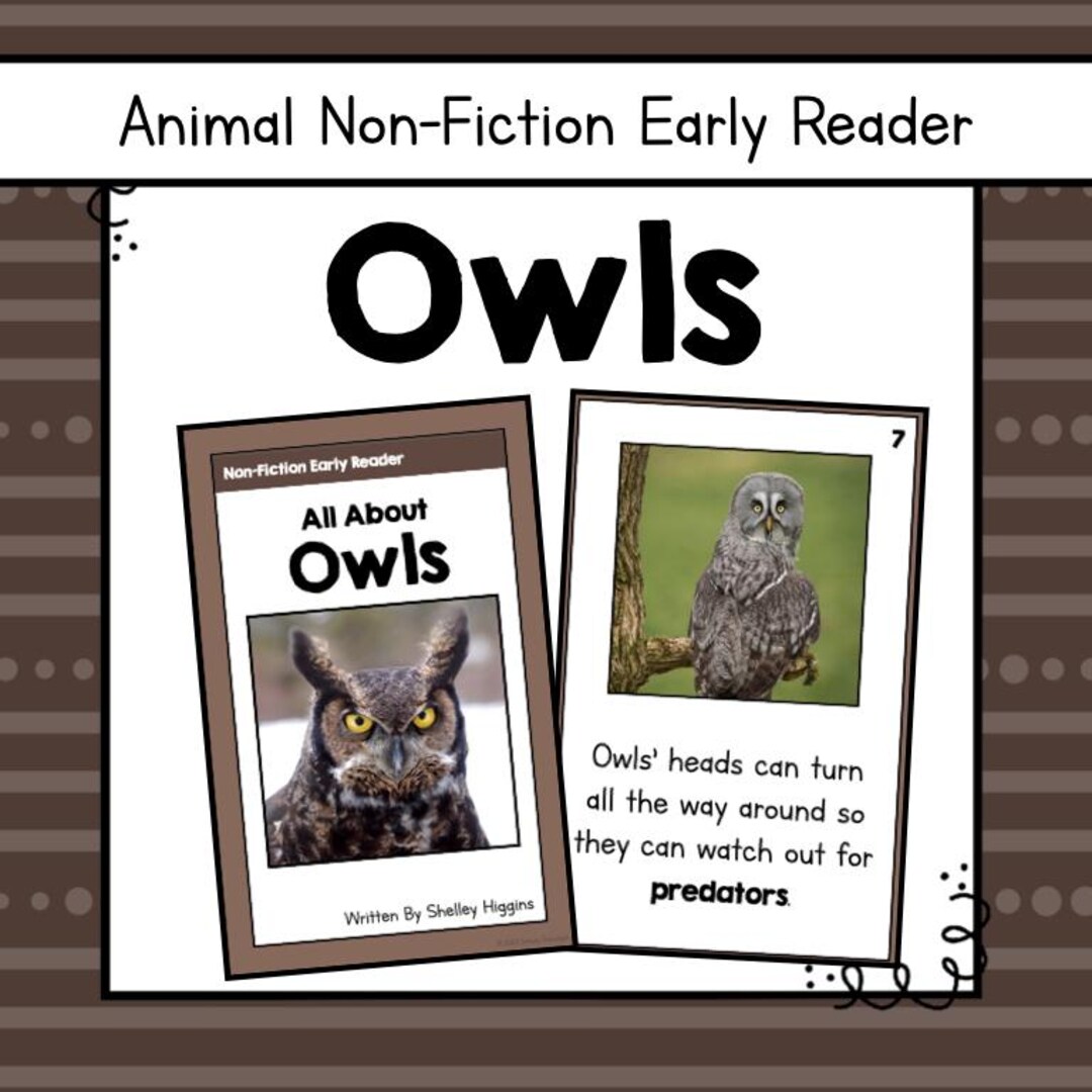 Owls Nonfiction Early Reader | Printable Bird Book With Real Photos ...