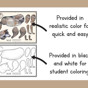 Wolf Jointed Animal Craft | Easy Assembly Articulated Wolf | Nature ...