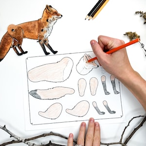 Printable ARTICULATED Fox Puppet Craft Template Kit | DIY Woodland ...