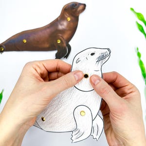 Sea Lion Jointed Paper Animal Puppet Craft Articulated Puppet Printable ...