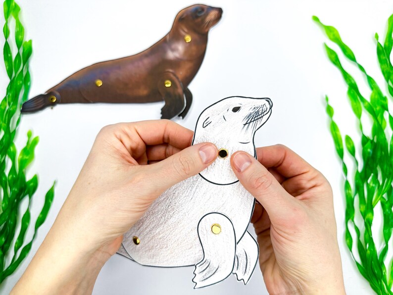 Printable JOINTED Sea Lion Puppet Craft Template | DIY Articulated ...