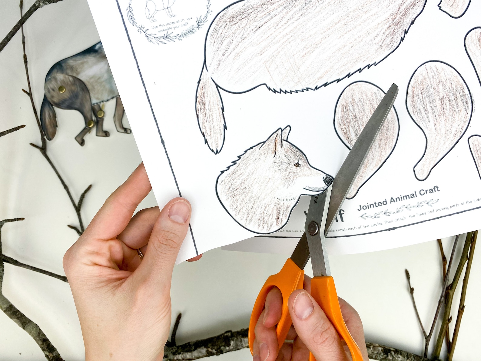 Wolf Jointed Animal Craft | Easy Assembly Articulated Wolf | Nature ...