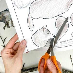 Wolf Jointed Animal Craft | Easy Assembly Articulated Wolf | Nature ...