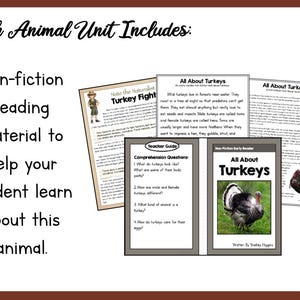 All About Turkeys- Animal Science Unit - Etsy